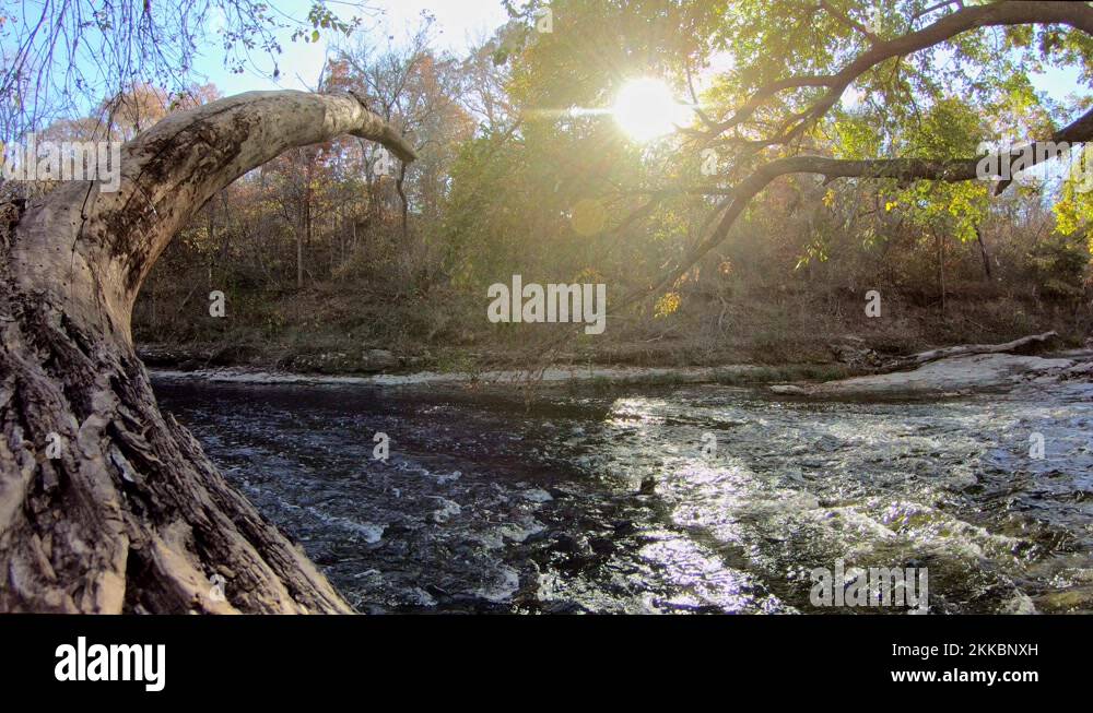 Panning left towards two large overhanging trees that reach towards ...