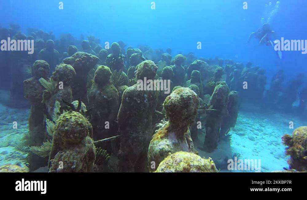 Musa cancún, méxico Stock Videos & Footage - HD and 4K Video Clips - Alamy