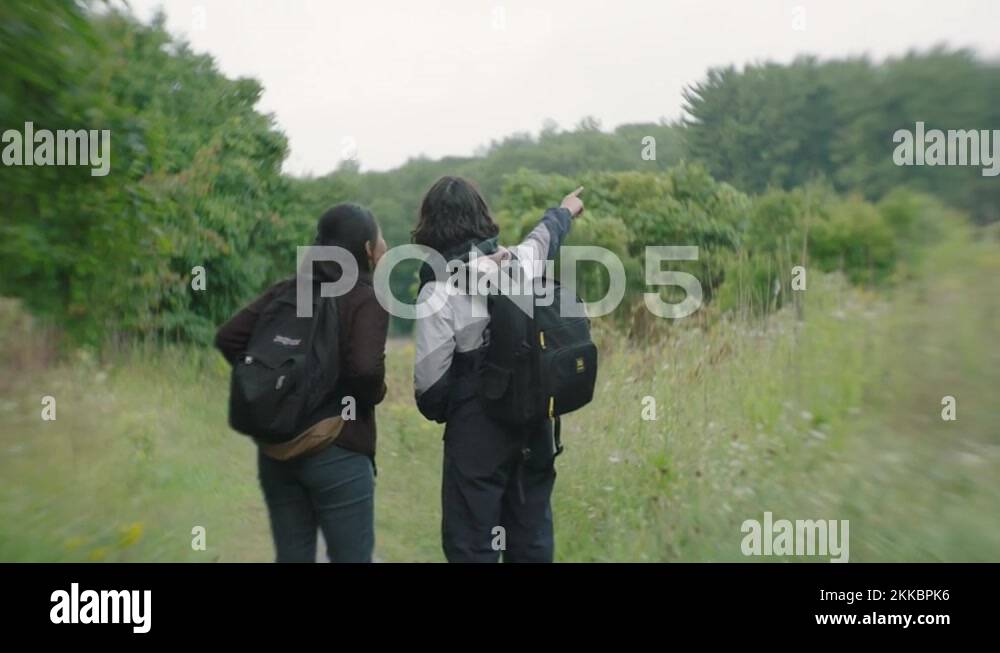 Friends way Stock Videos & Footage - HD and 4K Video Clips - Alamy