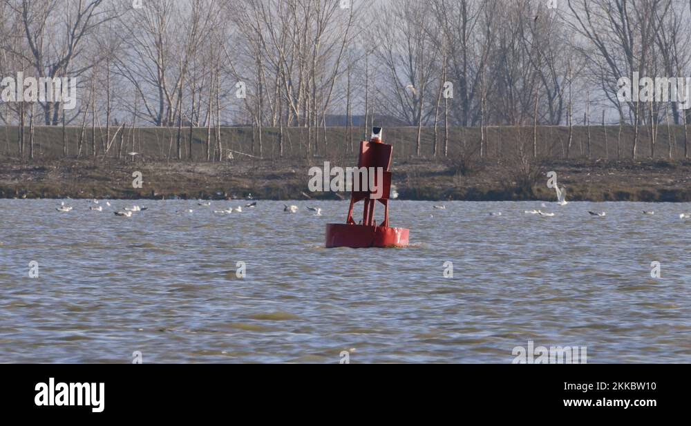 Sea mark beacon Stock Videos & Footage - HD and 4K Video Clips - Alamy