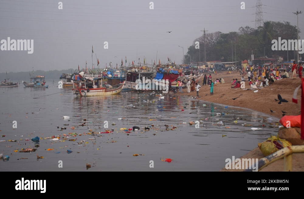 Water pollution near a sea shore,flowers, plastics,food,bottles and ...