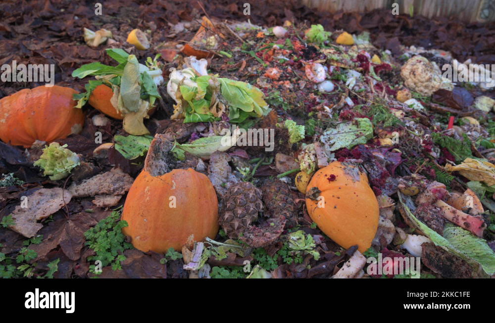 Green organic layers Stock Videos & Footage - HD and 4K Video Clips - Alamy