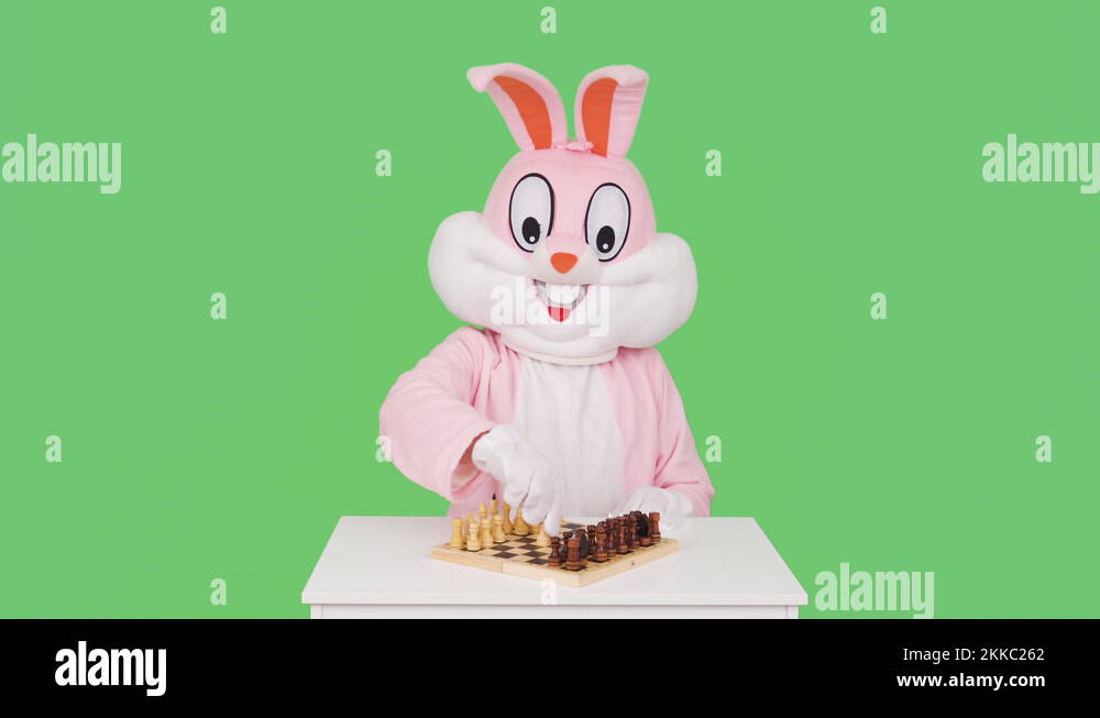 Rabbitgrowthsuit Stock Videos & Footage - HD and 4K Video Clips - Alamy