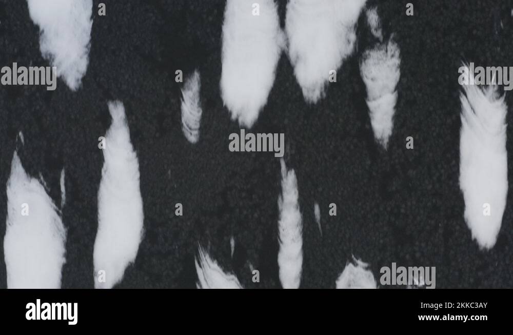 Ice pockets Stock Videos & Footage - HD and 4K Video Clips - Alamy