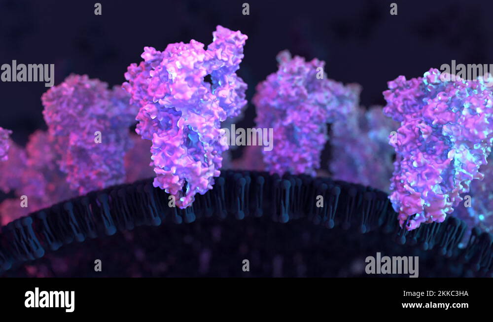 Spike protein of SARS-CoV-2, Mutation in the spike protein that the ...