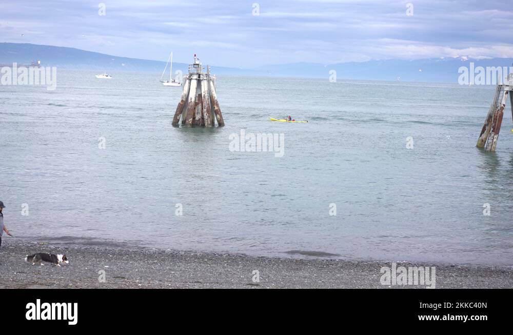 Homer spit beach alaska Stock Videos & Footage - HD and 4K Video Clips ...