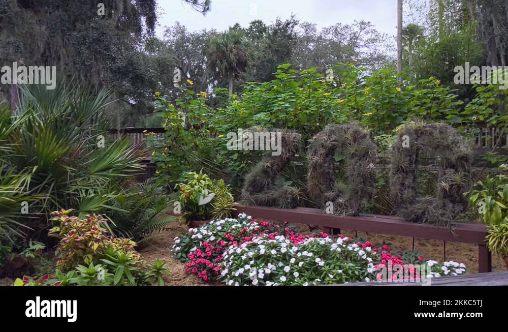 Florida zoological park Stock Videos & Footage - HD and 4K Video Clips ...