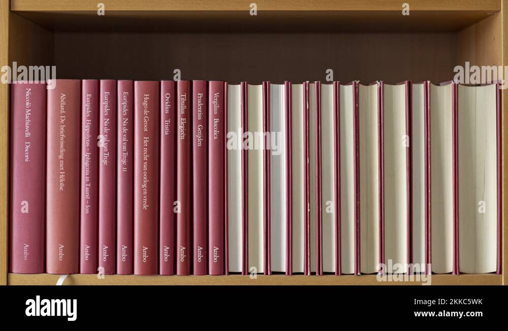 Bookworm bookshelf Stock Videos & Footage - HD and 4K Video Clips - Alamy