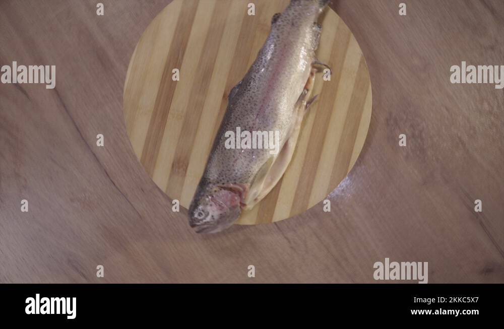 Gill bearing aquatic craniate animals Stock Videos & Footage - HD and ...