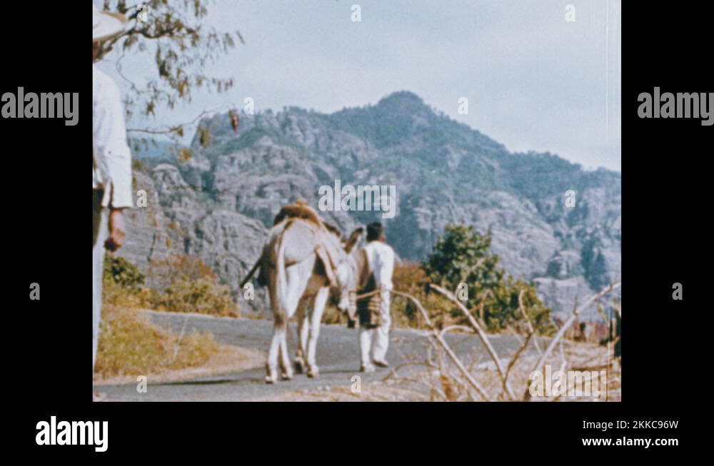 Man carrying donkey Stock Videos & Footage - HD and 4K Video Clips - Alamy