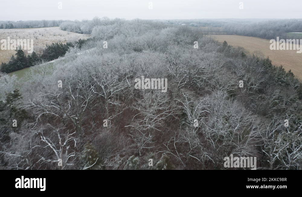 Iced over trees Stock Videos & Footage - HD and 4K Video Clips - Alamy