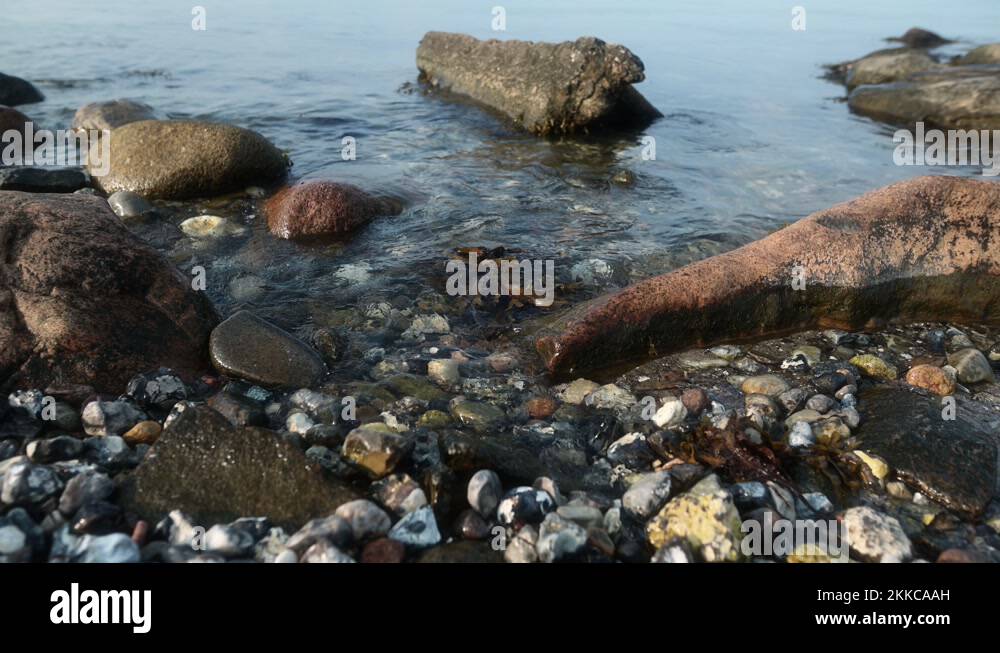 Rock am strand Stock Videos & Footage - HD and 4K Video Clips - Alamy