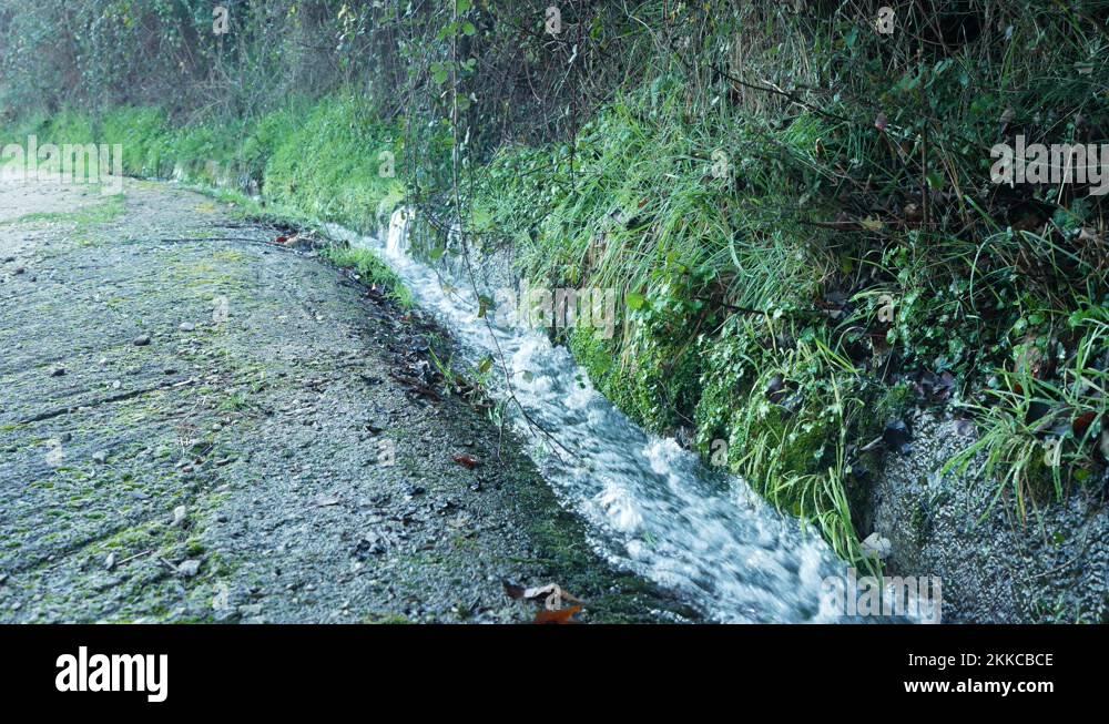 A water stream flows through the green grass. Fresh spring water coming ...