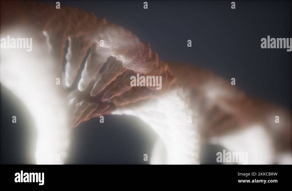 loopable structure of the DNA double helix animation Stock Video ...