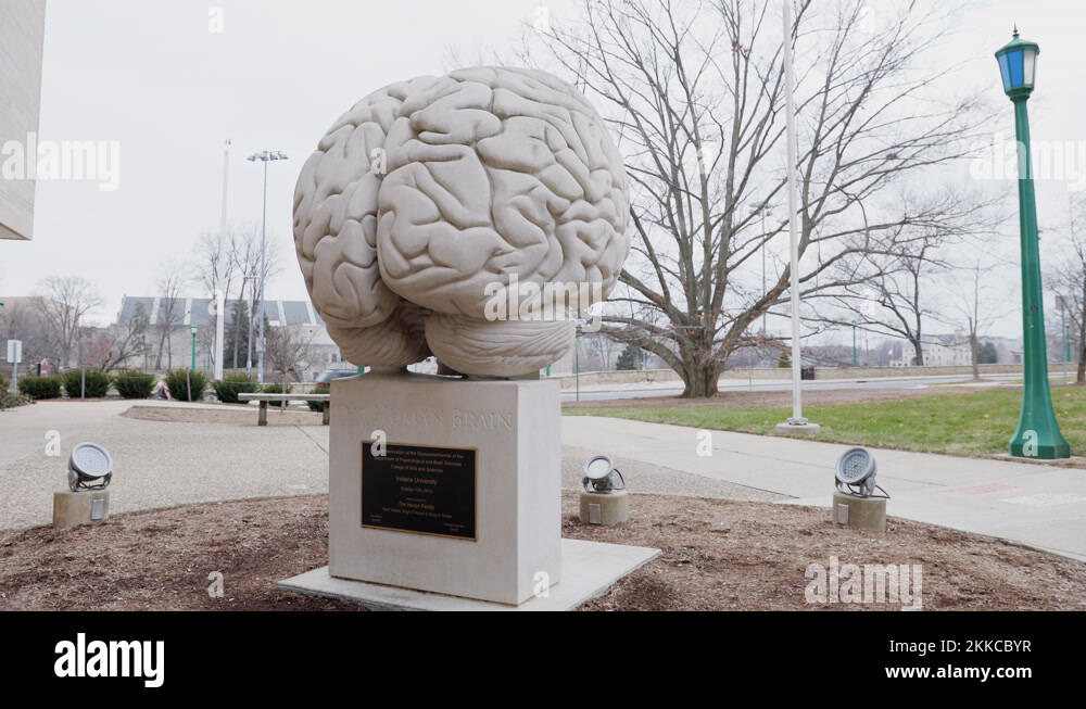 The Human Brain sculpture on Indiana University Campus 4k Stock Video ...