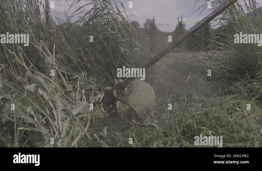 Gasoline Brush Cutter Is Mowing Meadow Cutting Tall Grass Stock Video Footage Alamy