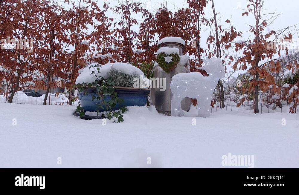 Snow falling on a glowing reindeer one cold January day Stock Video ...