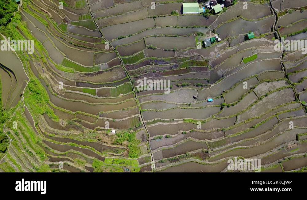 Ifugao traditional rice Stock Videos & Footage - HD and 4K Video Clips ...