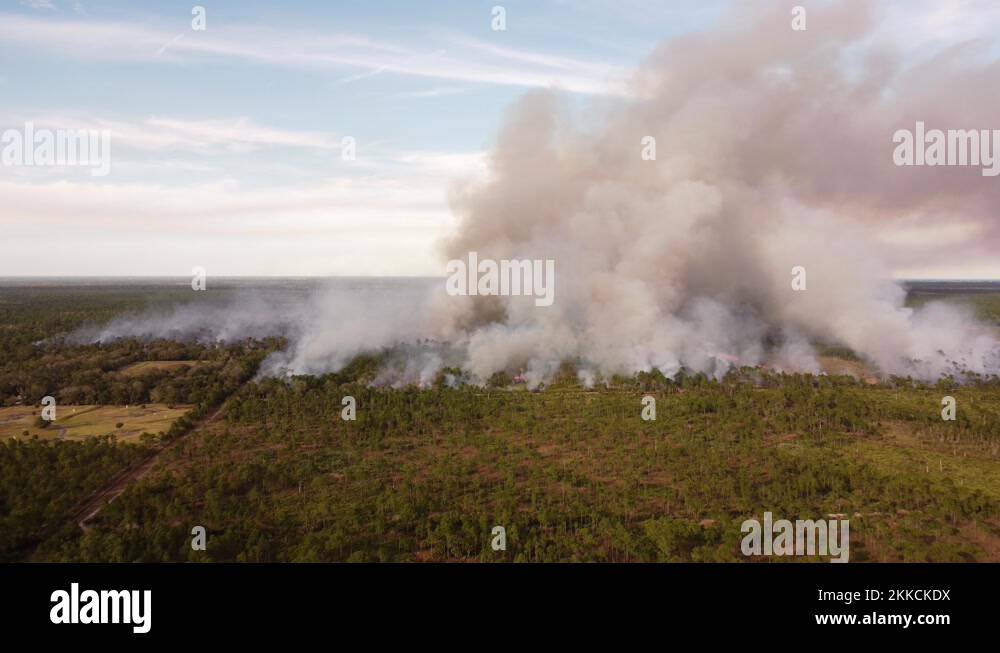 Prevention and control Stock Videos & Footage - HD and 4K Video Clips ...