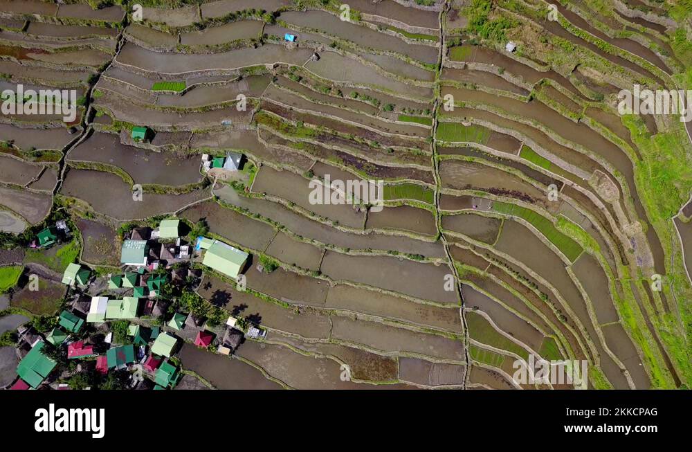 Rice terraces of the philippine cordilleras Stock Videos & Footage - HD ...