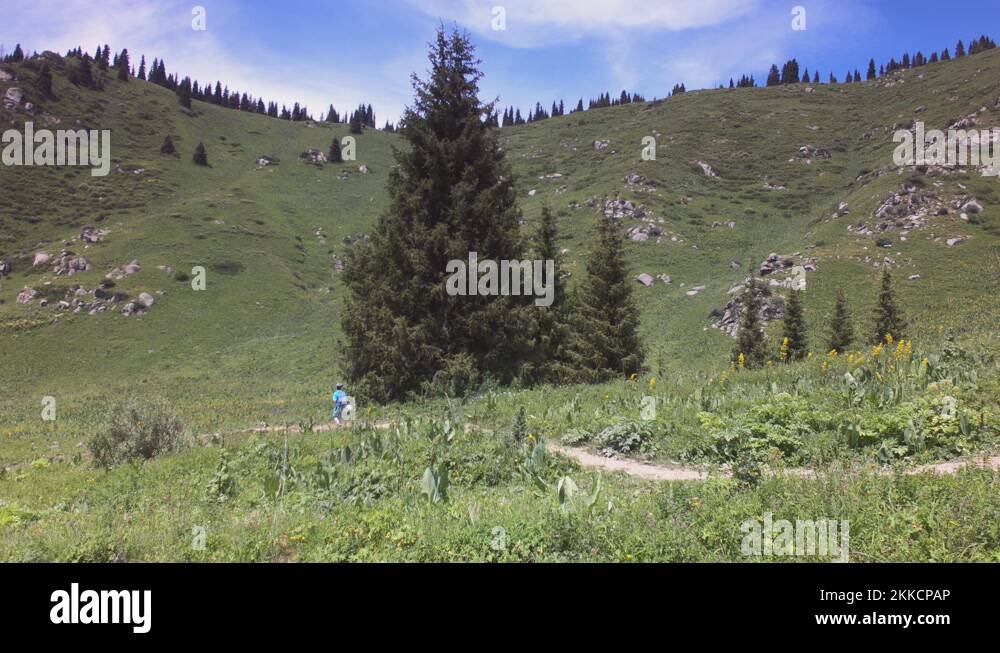Spruce ridge Stock Videos & Footage - HD and 4K Video Clips - Alamy