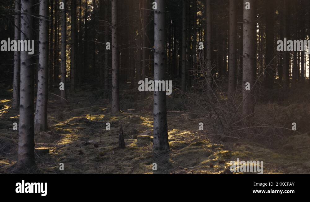 Dust in light Stock Videos & Footage - HD and 4K Video Clips - Alamy