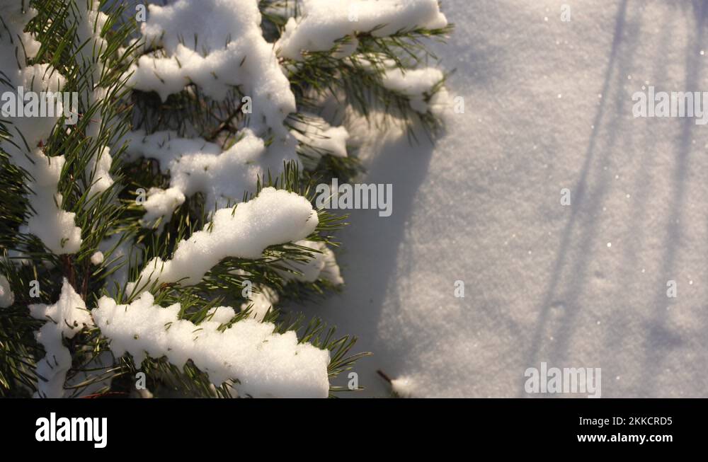 Green trees snowy ground blue sky Stock Videos & Footage - HD and 4K ...