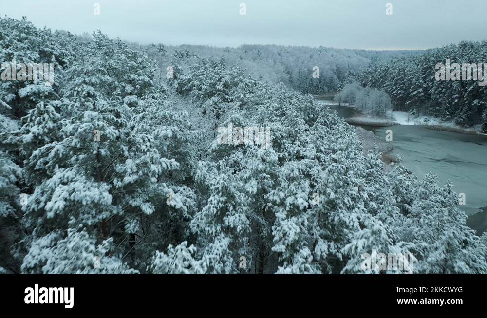 Winter flying flight tree Stock Videos & Footage - HD and 4K Video ...