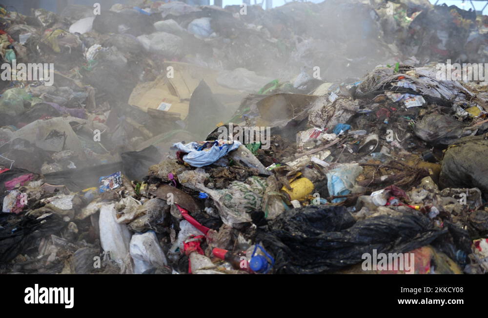 Disposablepackaging Stock Videos & Footage - HD and 4K Video Clips - Alamy