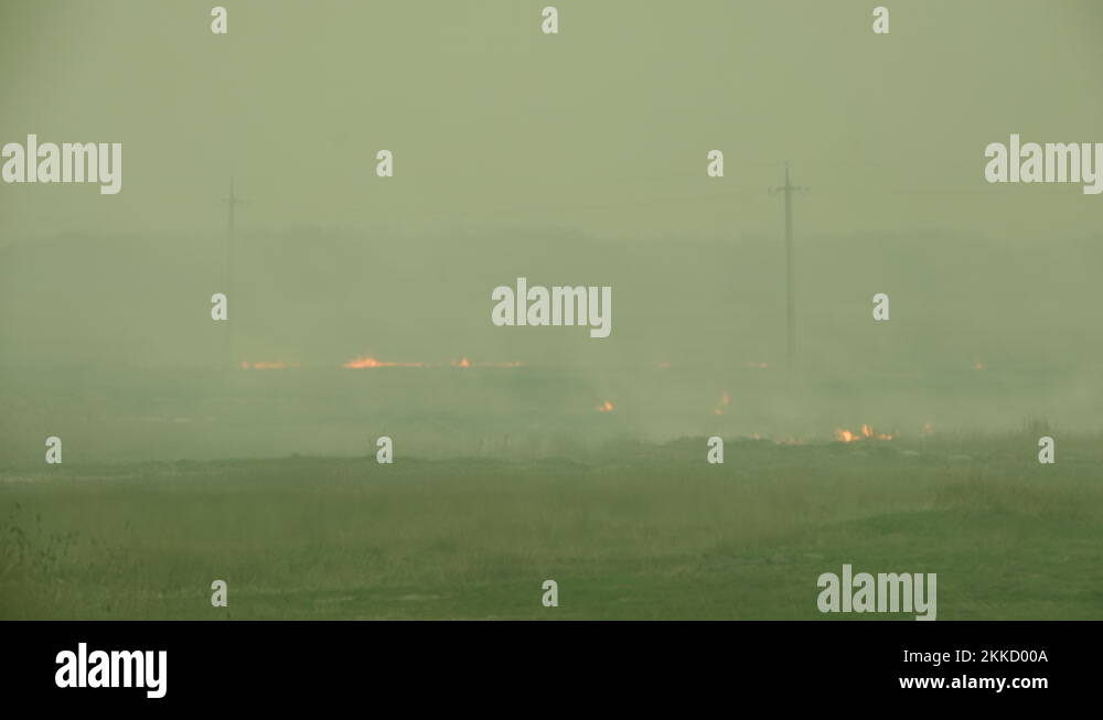 Poison cloud Stock Videos & Footage - HD and 4K Video Clips - Alamy