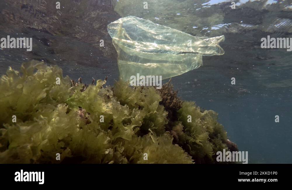 Plastic pollution, Yellow plastic bag in the coastal area. Discarded ...