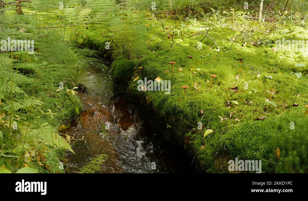 Cold but clear Stock Videos & Footage - HD and 4K Video Clips - Alamy