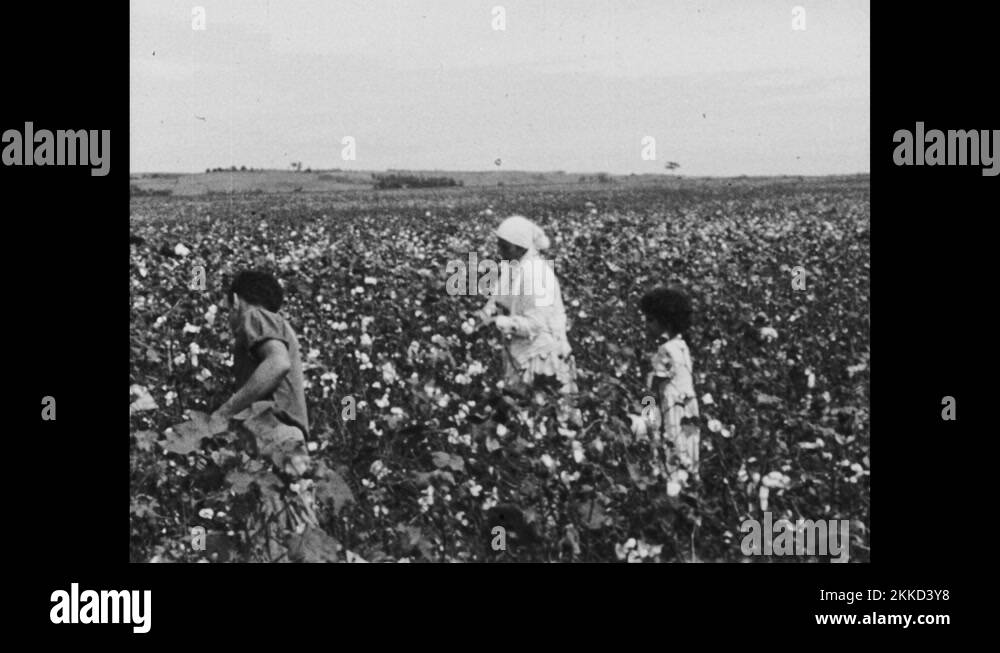 Power to women Stock Videos & Footage - HD and 4K Video Clips - Alamy