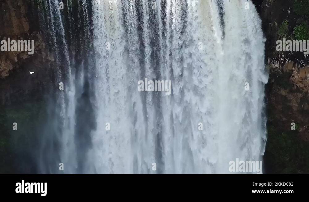 Waterfall birds Stock Videos & Footage - HD and 4K Video Clips - Alamy