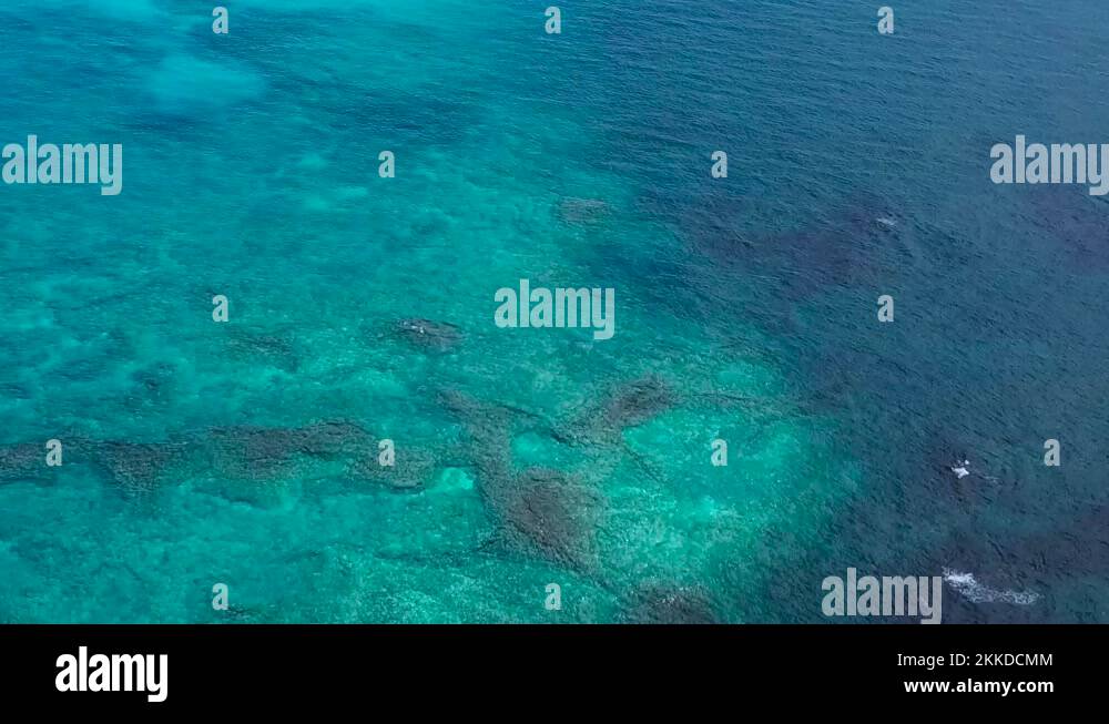 Black sand reef Stock Videos & Footage - HD and 4K Video Clips - Alamy