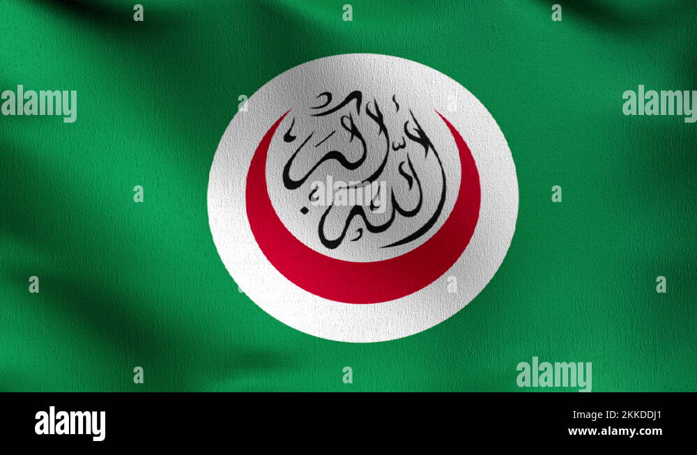 Islamic conference flag Stock Videos & Footage - HD and 4K Video Clips ...