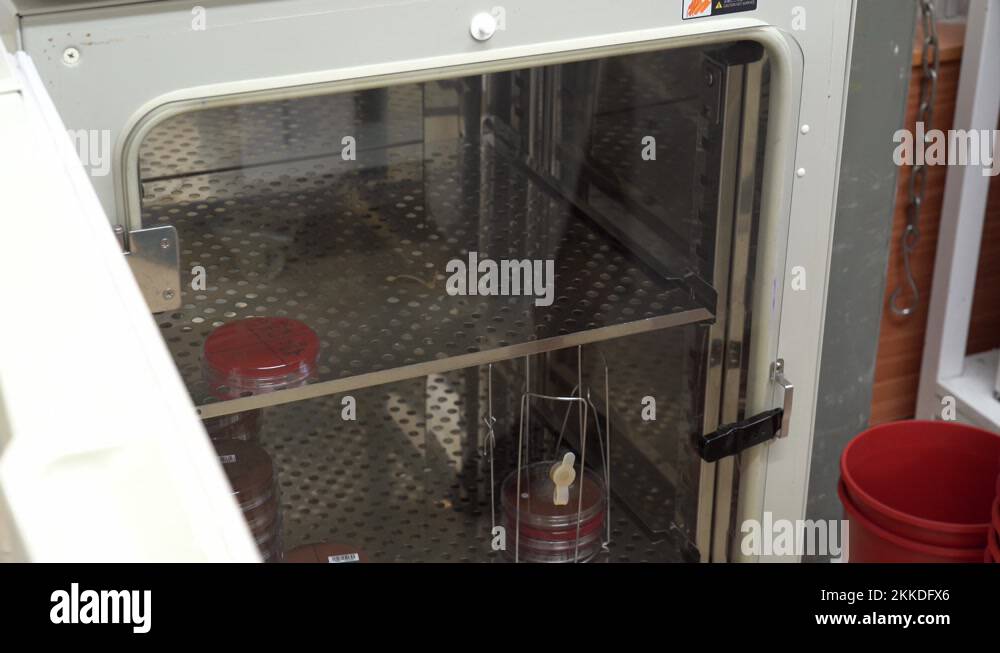 Bacteria incubator Stock Videos & Footage - HD and 4K Video Clips - Alamy