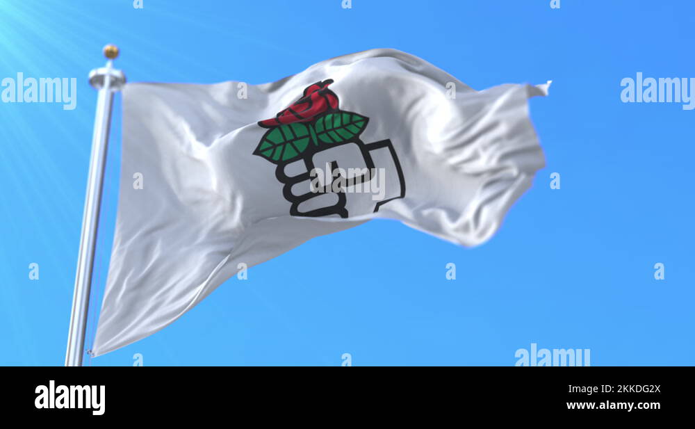 National socialist movement flag Stock Videos & Footage - HD and 4K ...