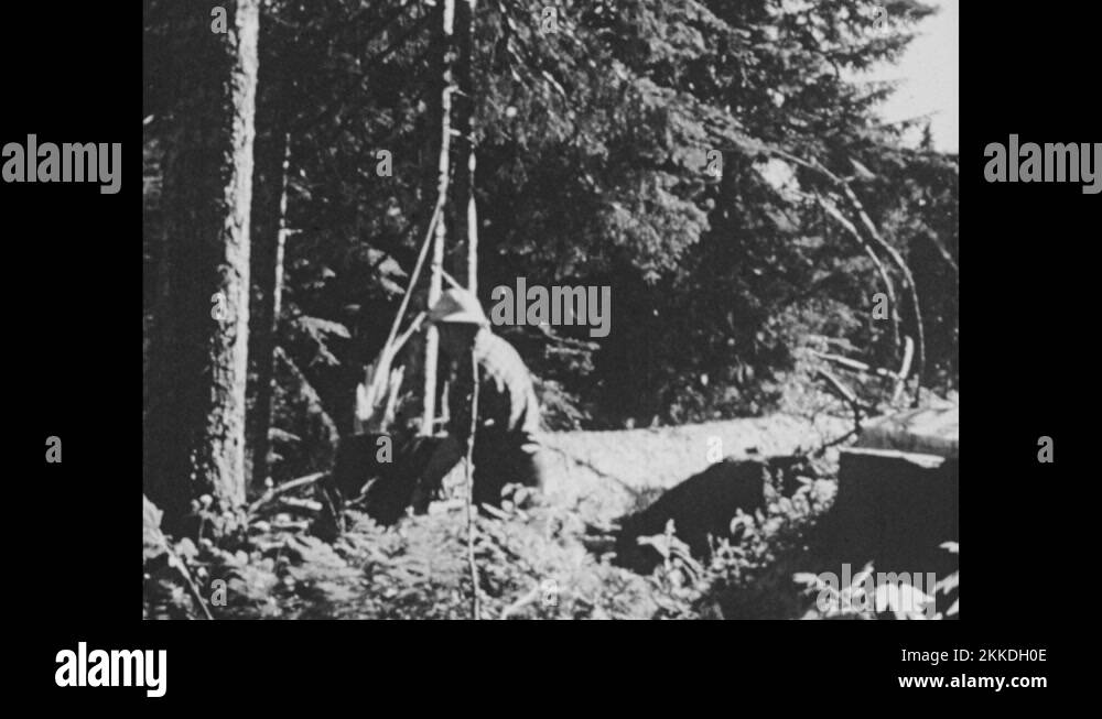 1950s lumberjack Stock Videos & Footage - HD and 4K Video Clips - Alamy