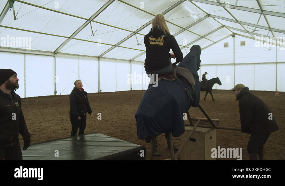 Padded horse Stock Videos & Footage - HD and 4K Video Clips - Alamy