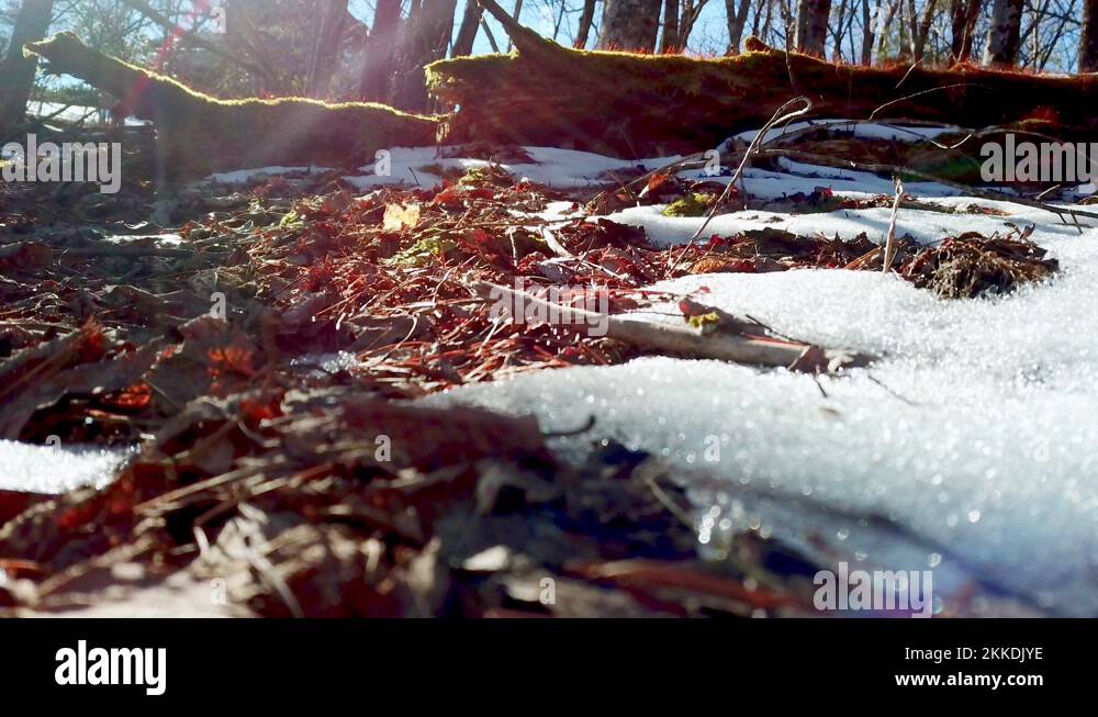 Snow on floor Stock Videos & Footage - HD and 4K Video Clips - Alamy