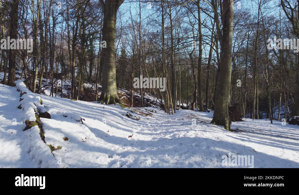 Low level scenery Stock Videos & Footage - HD and 4K Video Clips - Alamy