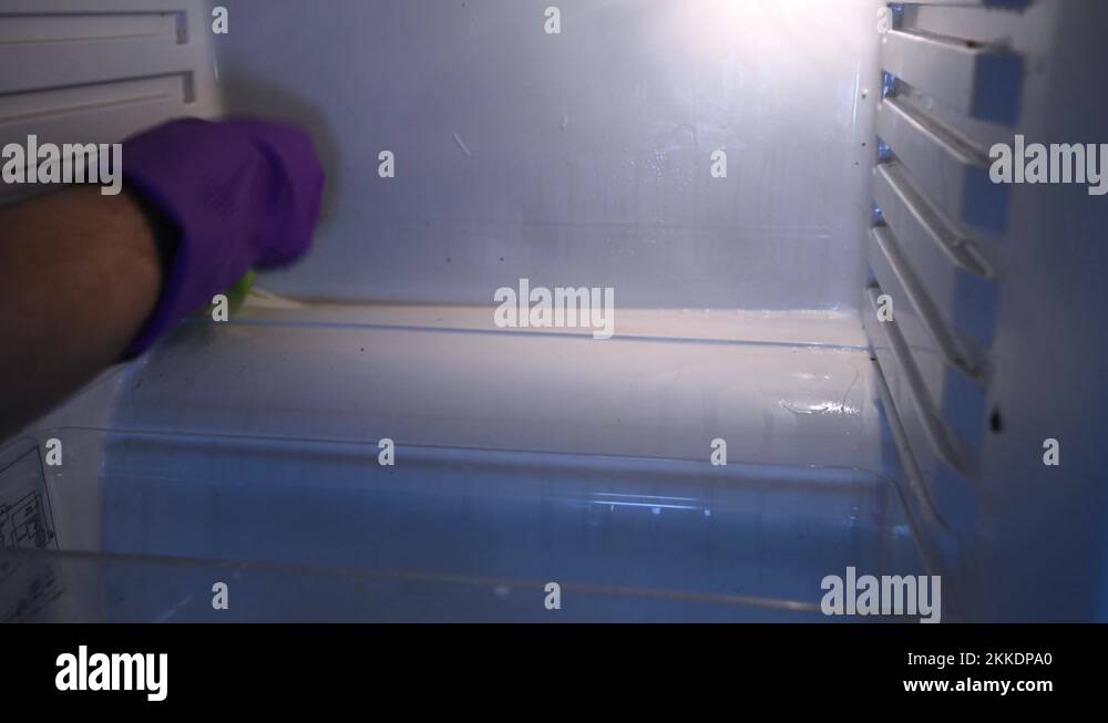 Man wearing purple rubber gloves scrubs the sides of an empty fridge ...