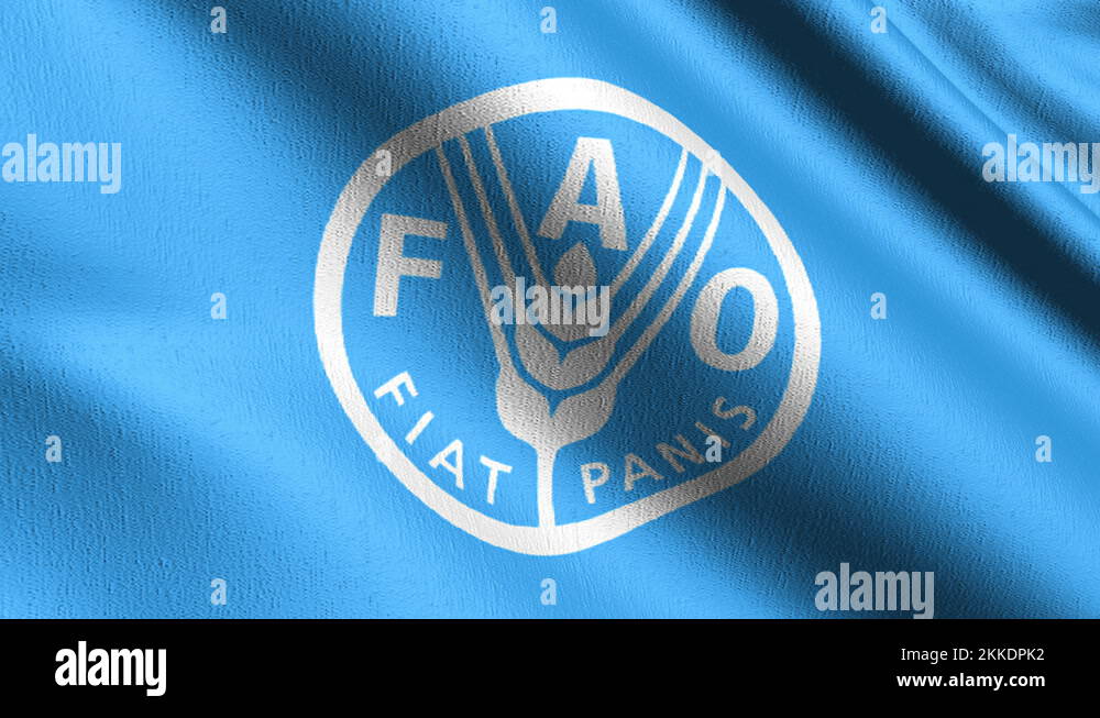 Fao flag Stock Videos & Footage - HD and 4K Video Clips - Alamy