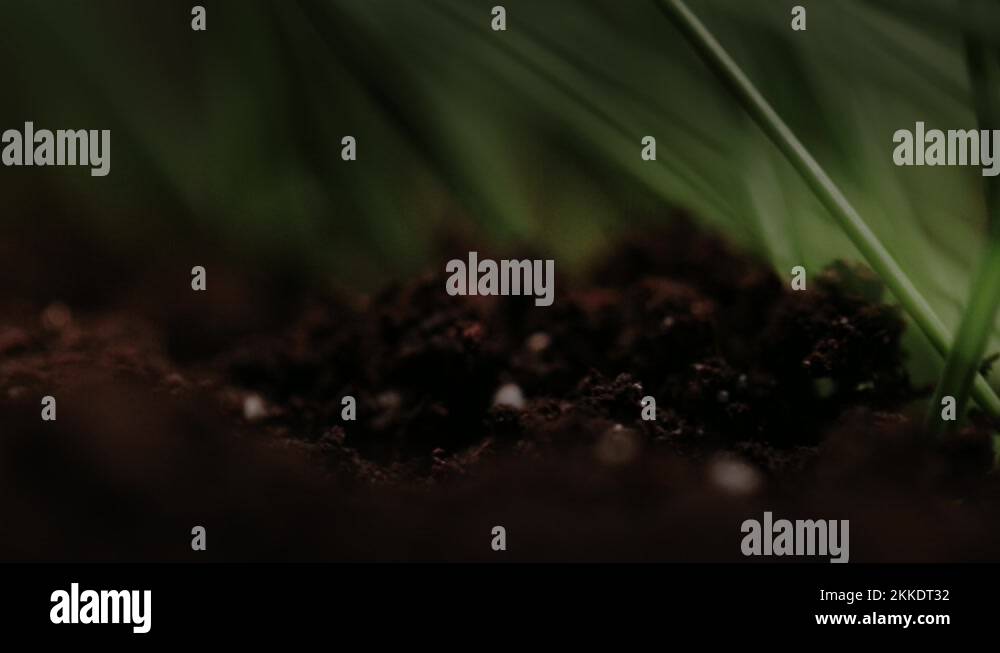 Ground soil earth humus agriculture Stock Videos & Footage - HD and 4K ...