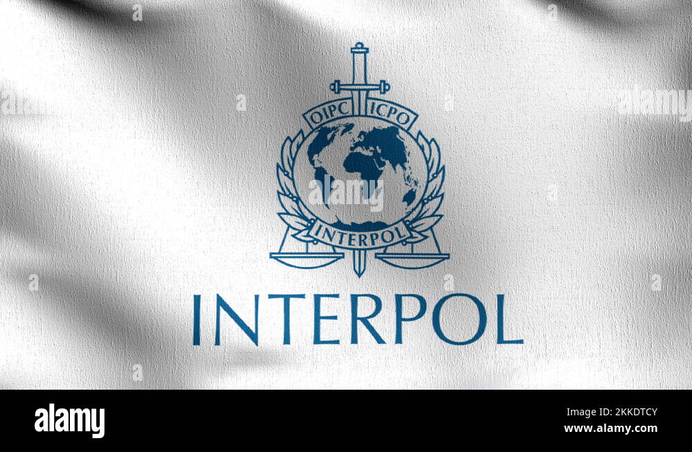 Criminal police organization Stock Videos & Footage - HD and 4K Video ...