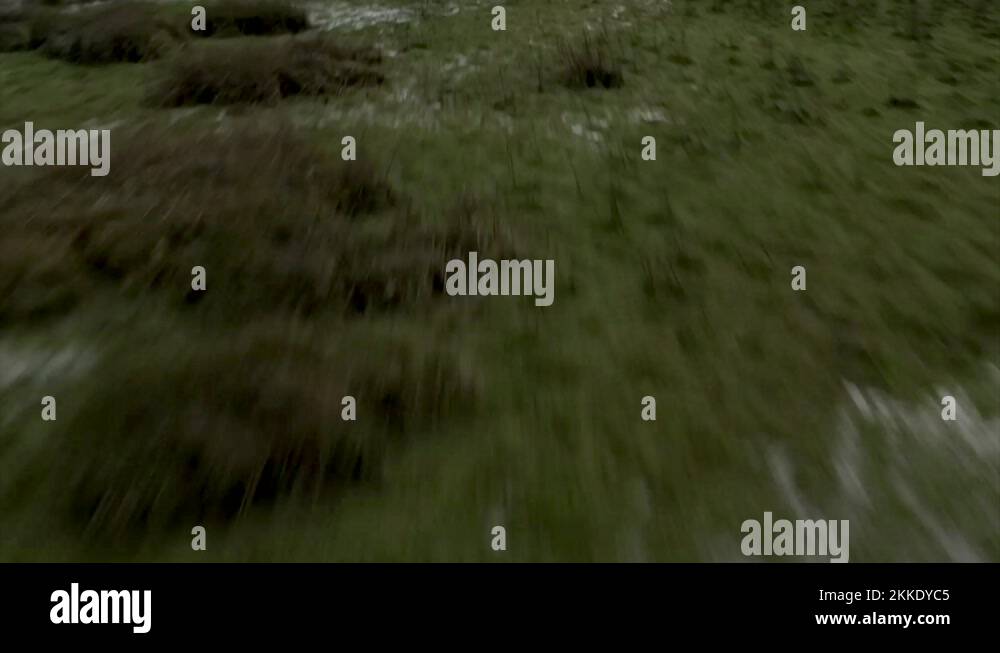 Walsh river Stock Videos & Footage - HD and 4K Video Clips - Alamy