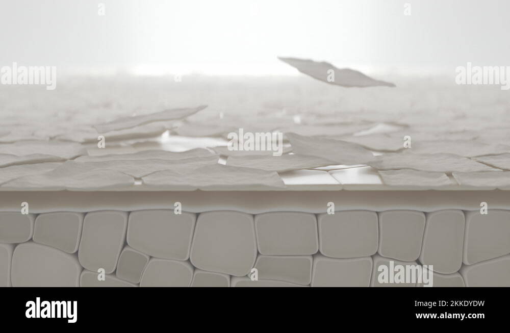 Dead epidermis cells peeling away from dry skin, 3d animation. Camera ...