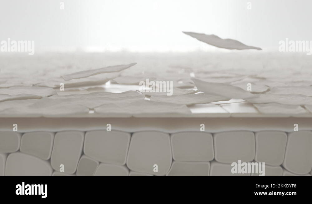 Dead epidermis cells peeling away from dry skin, 3d animation. Light ...