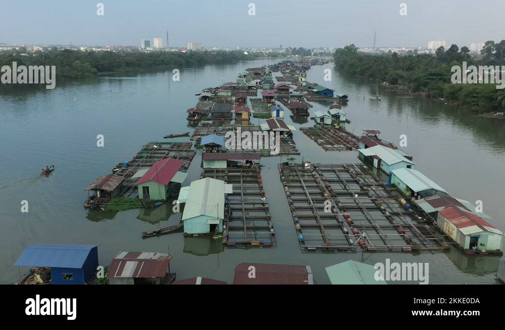 Floating fish farming community in Bien Hoa on the Dong Nai river ...